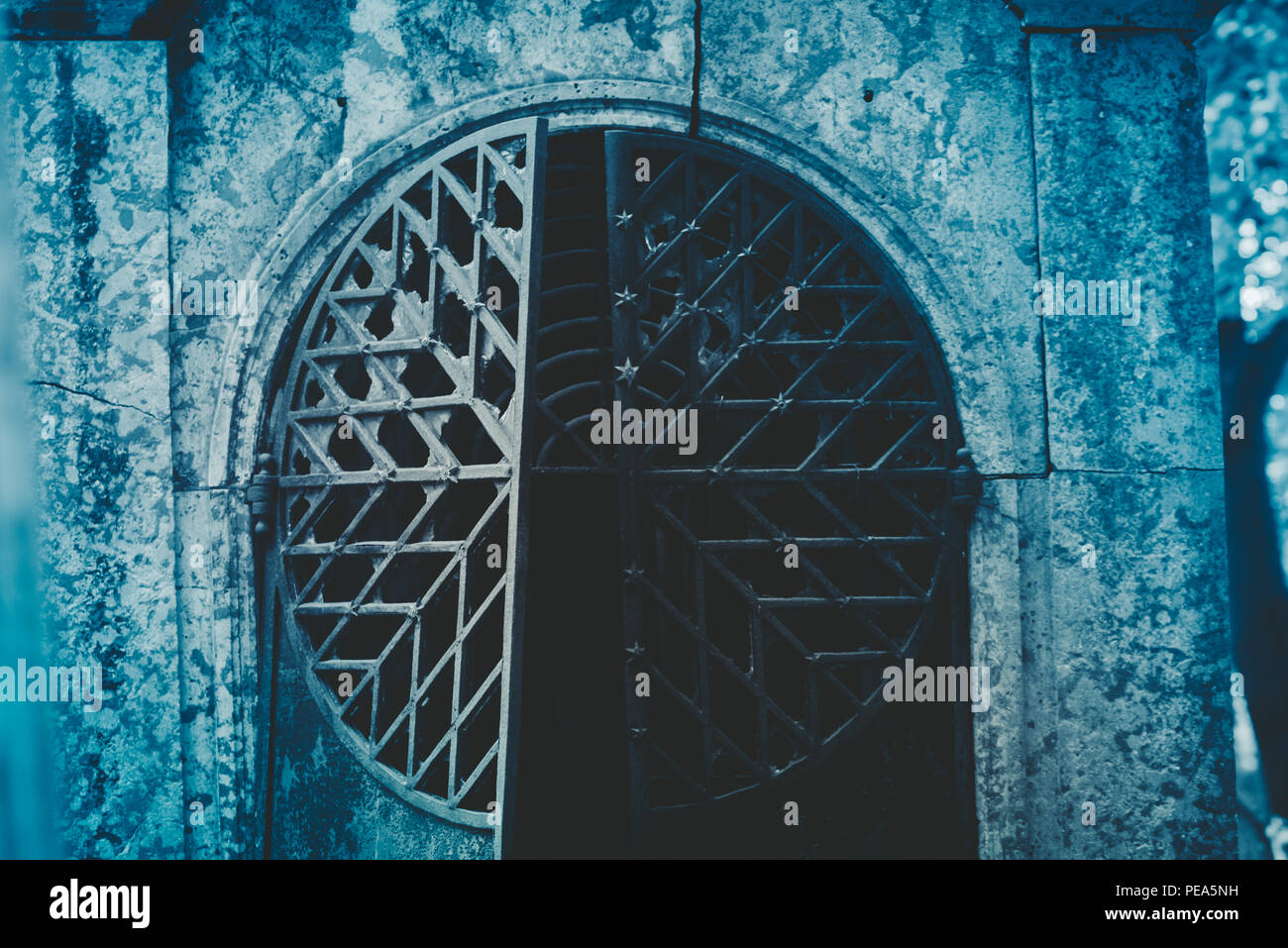 The slightly open iron door of the old crypt in the cemetery at night ...