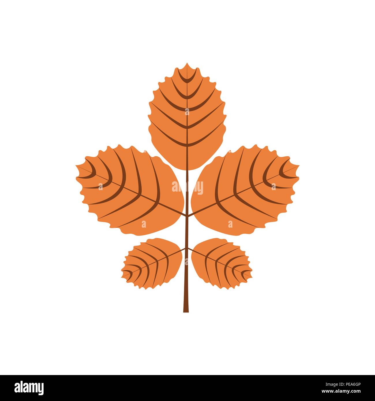 Five Branch Autumn Leaves Vector Illustration Symbol Graphic Logo ...