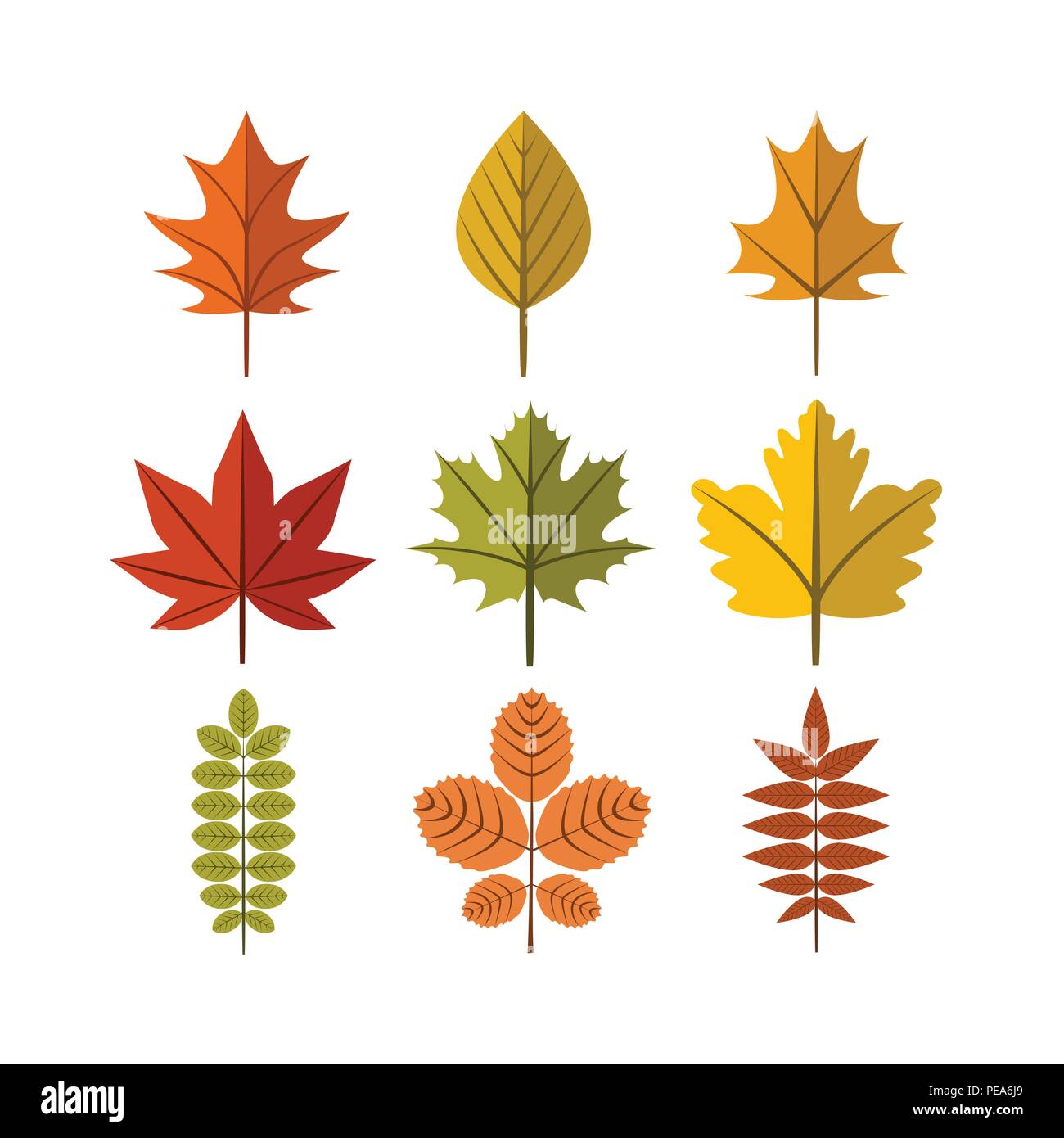 Simple Autumn Leaf Vector Illustration Symbol Graphic Logo Design ...