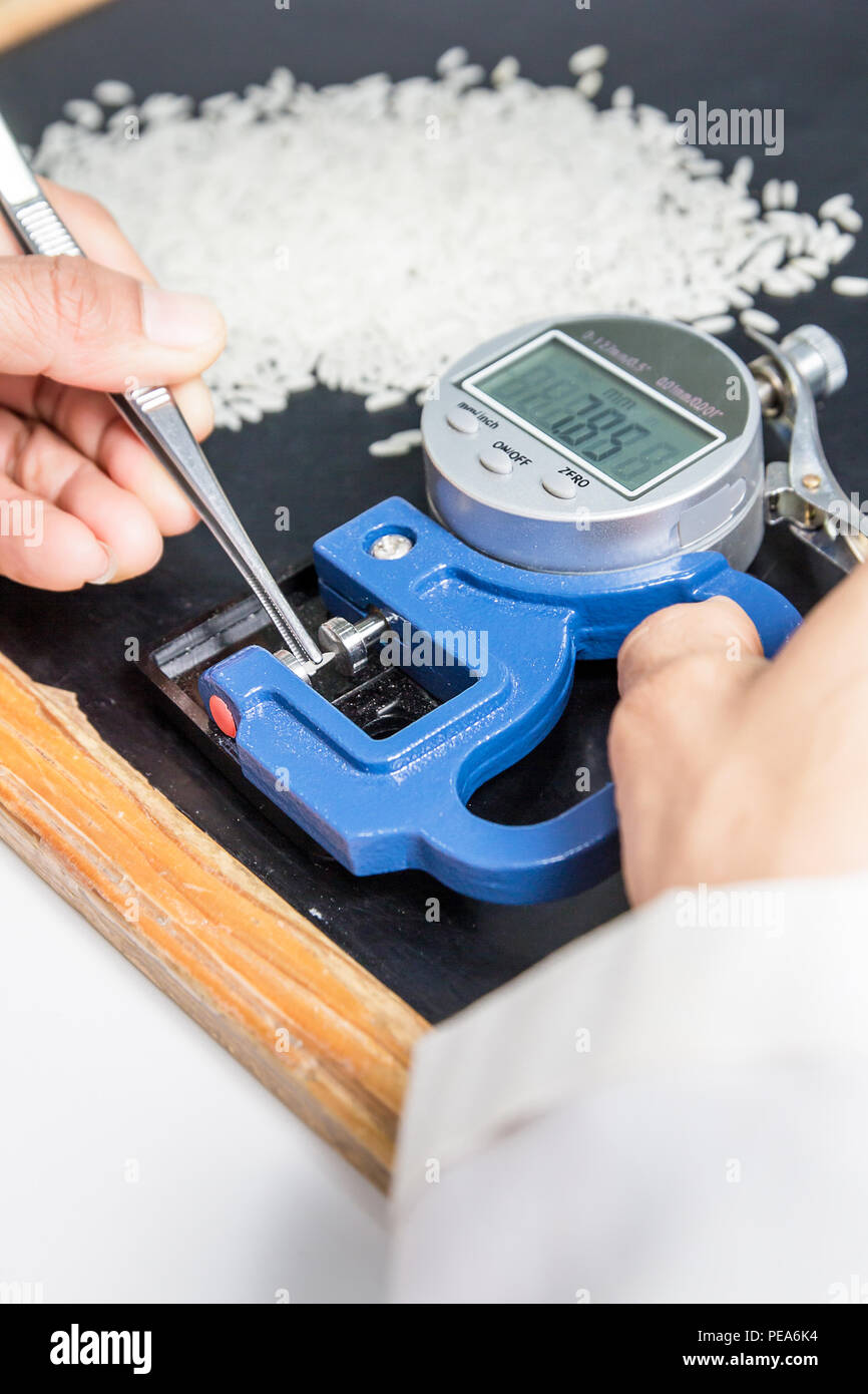 Scientists, research of rice,shallow Depth of Field,Focus on hand Stock ...