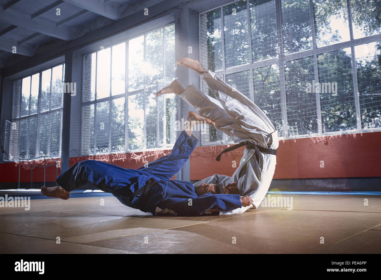 Two judo fighters showing technical skill while practicing martial arts ...
