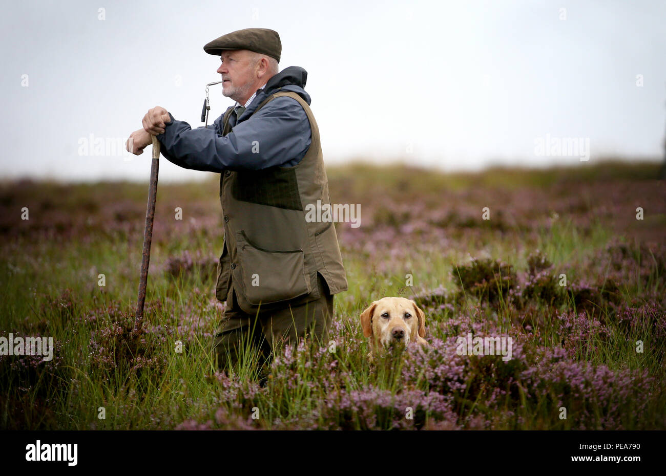 James Wotherspoon joins a shooting party on Forneth moor near Dunkeld ...