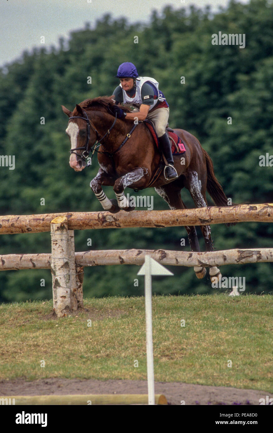 CCI * Chantilly 1993, Brook Staples (AUS) riding Fox Himself Stock ...