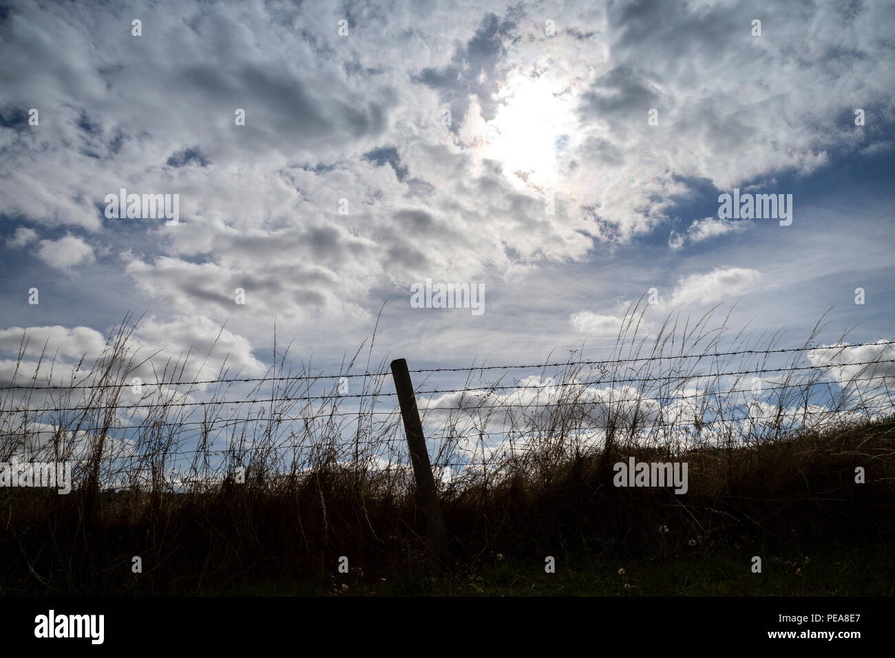 barrier, paling, railing, rail, bar, hurdle, enclosure wall, hedge ...