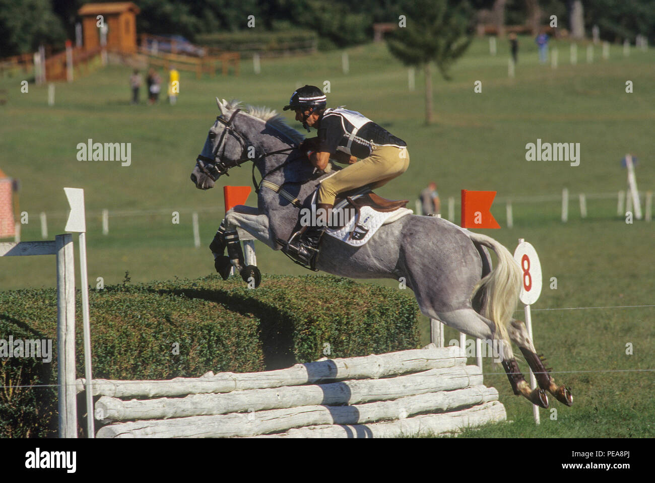 Sport nz hi-res stock photography and images - Alamy