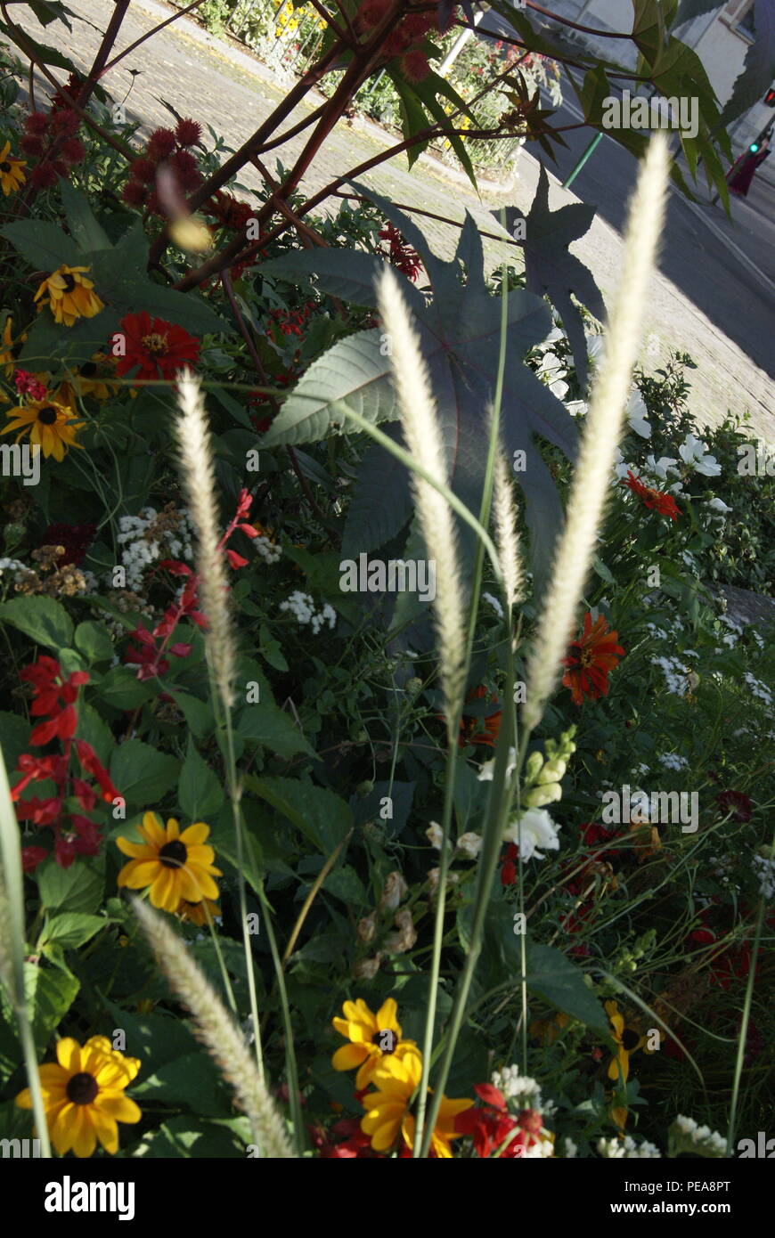 Fleurs de france hi-res stock photography and images - Alamy