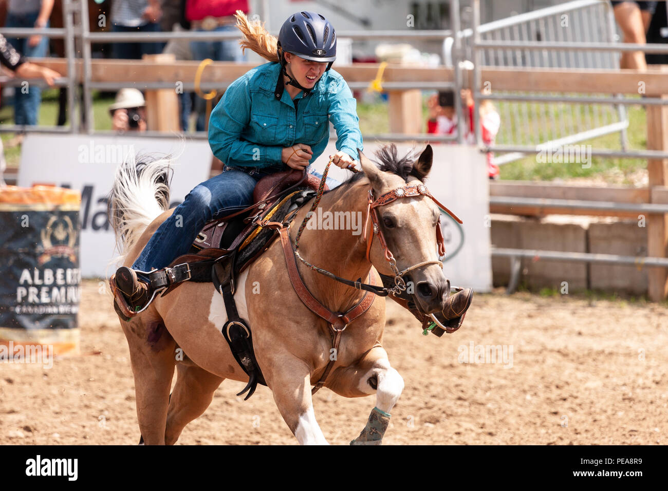 Cowgirls guide their quarterhorses through the barrell racing course ...