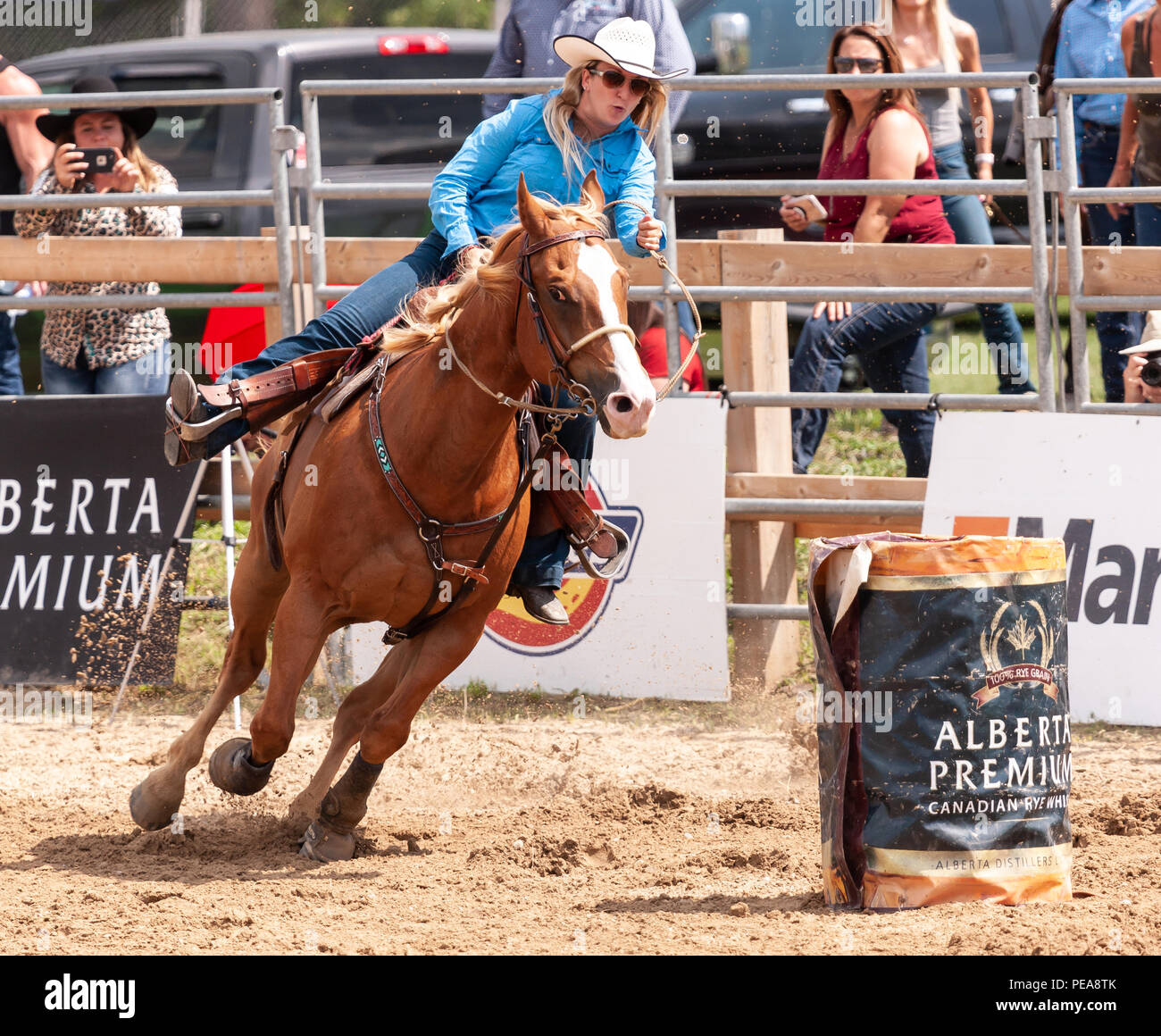 Cowgirls guide their quarterhorses through the barrell racing course ...