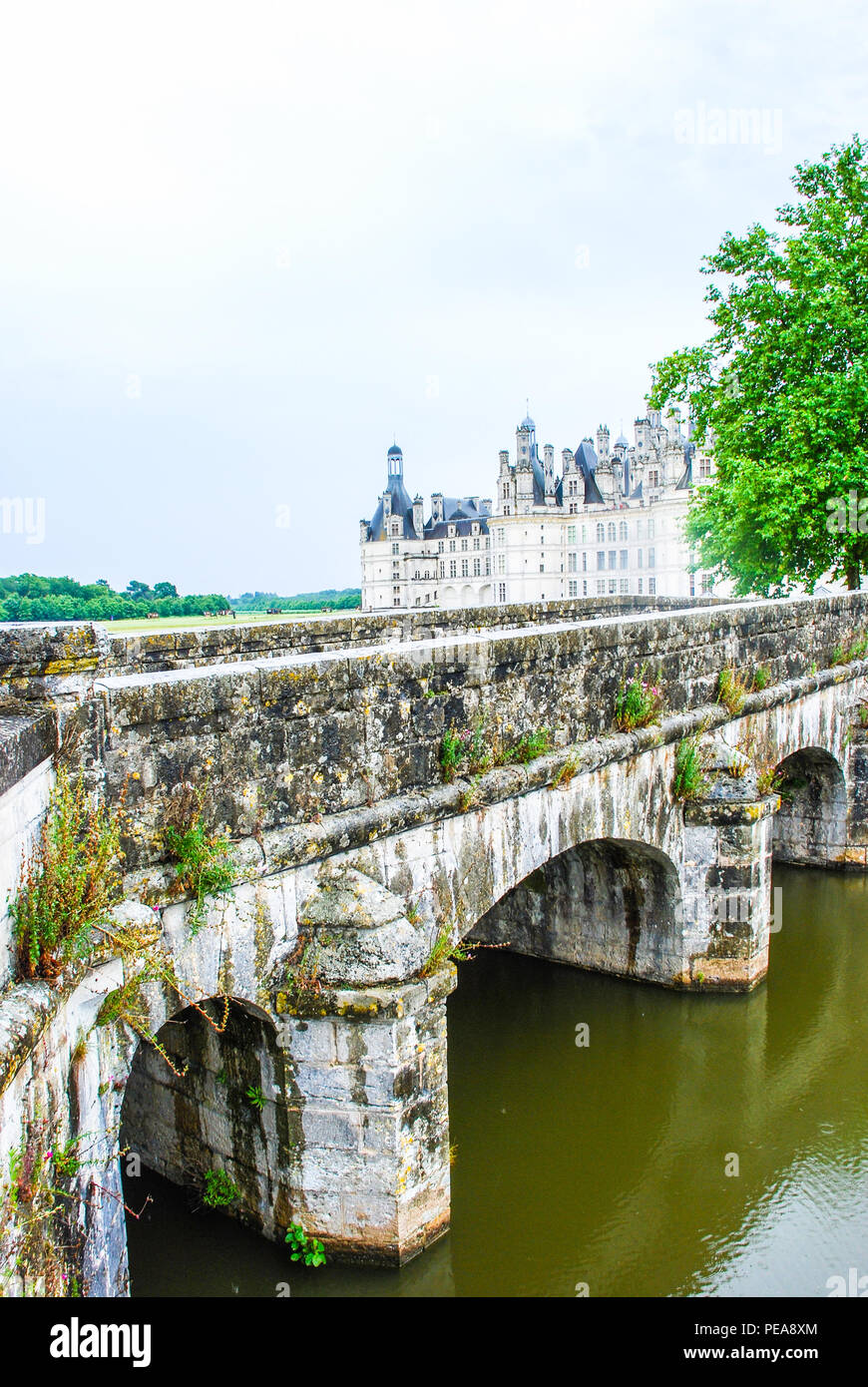The Chateau de Chenonceau is a French chateau spanning the River Cher ...