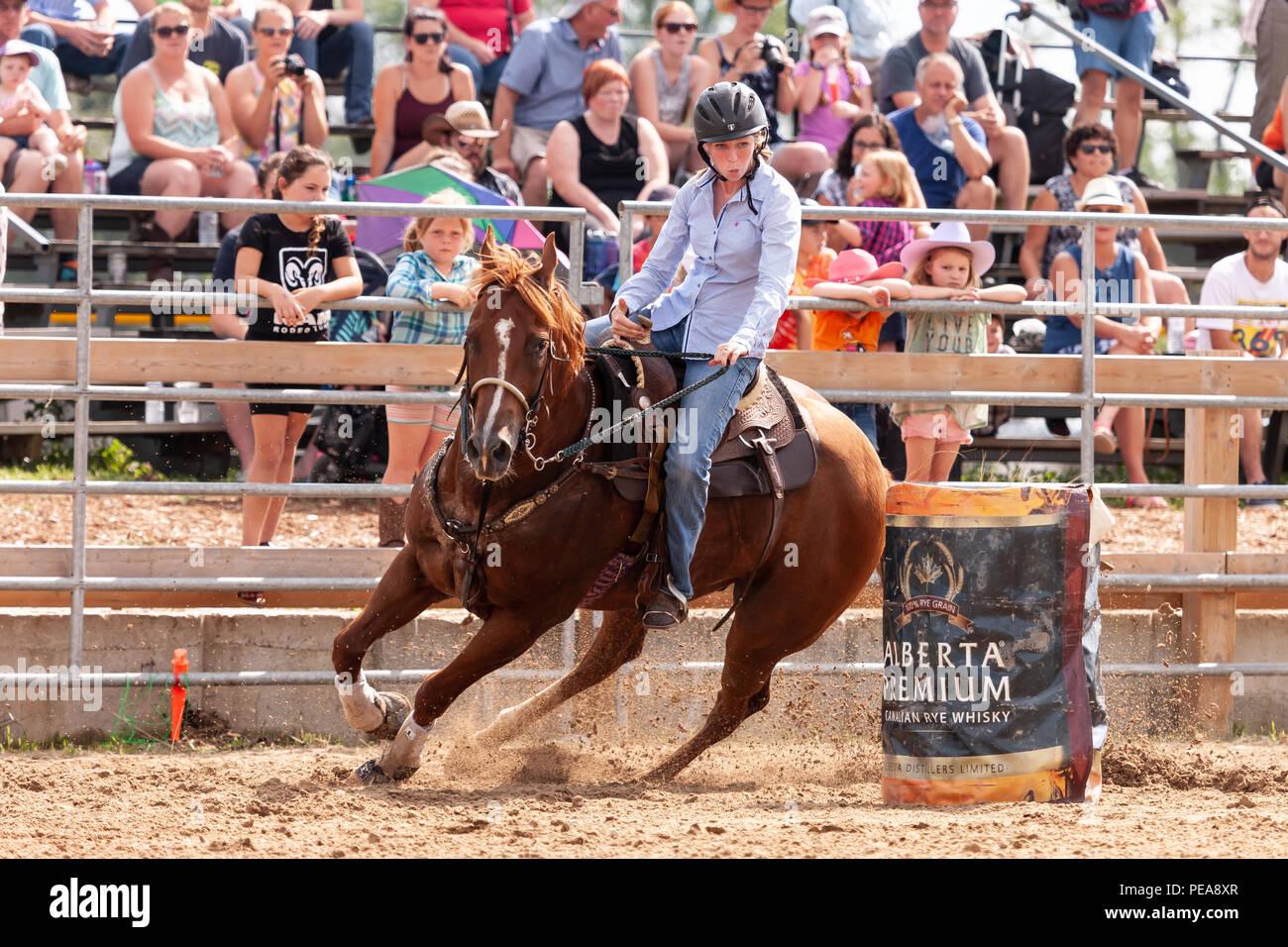 Barrel racing cowgirls in action hi-res stock photography and images ...