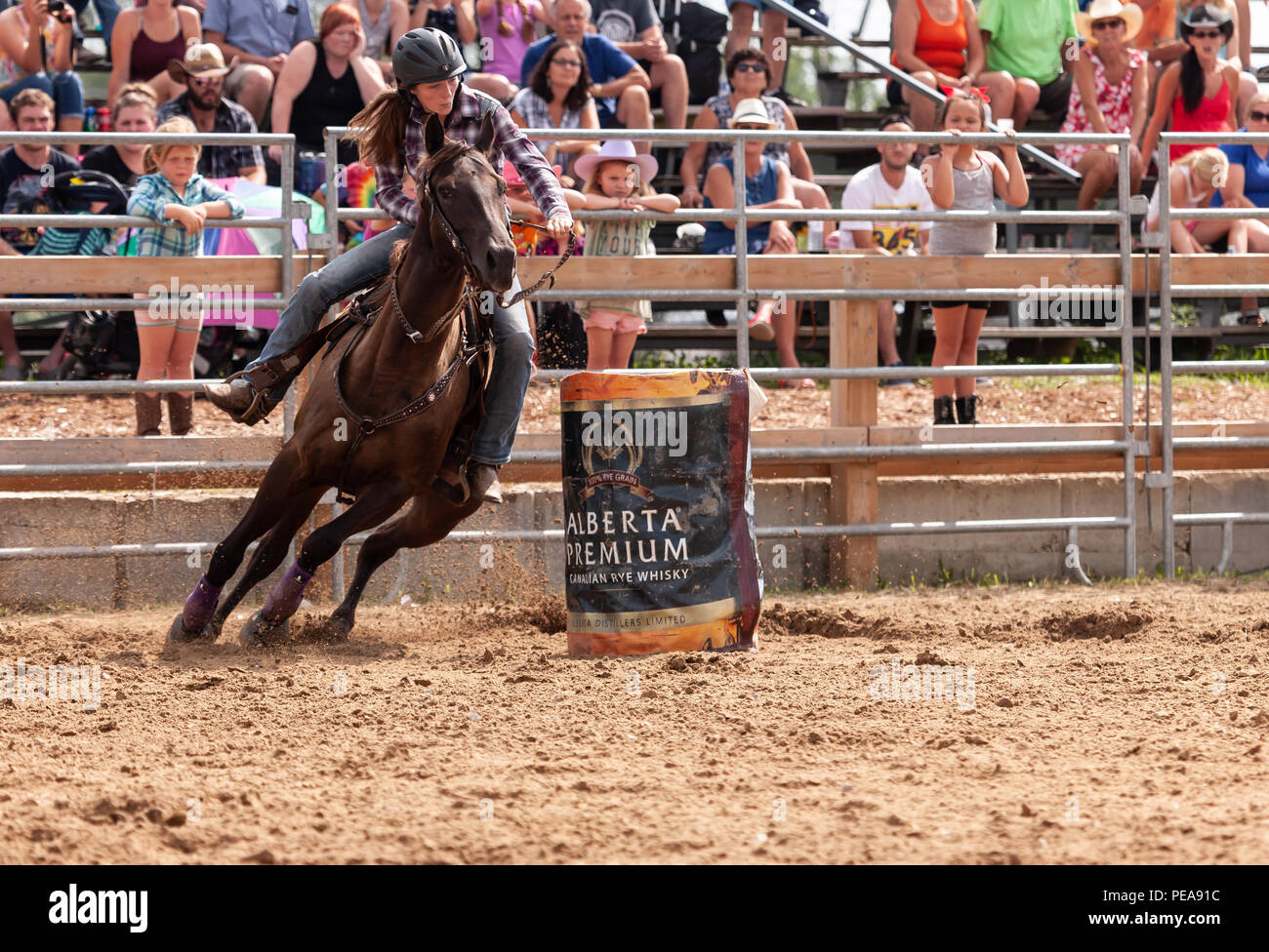 Cowgirls guide their quarterhorses through the barrell racing course ...