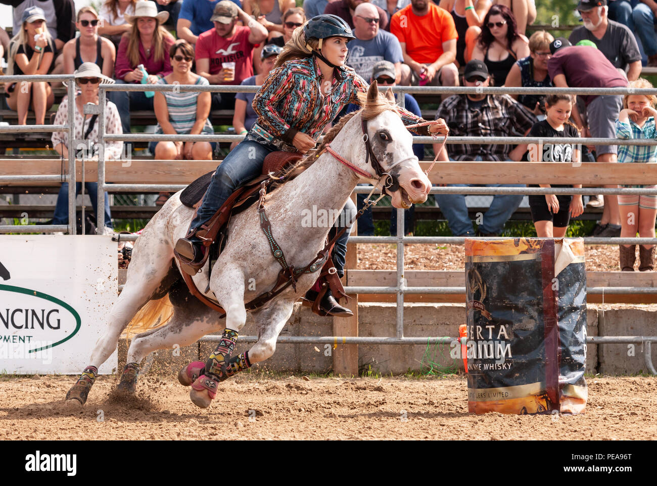 Cowgirls guide their quarterhorses through the barrell racing course ...