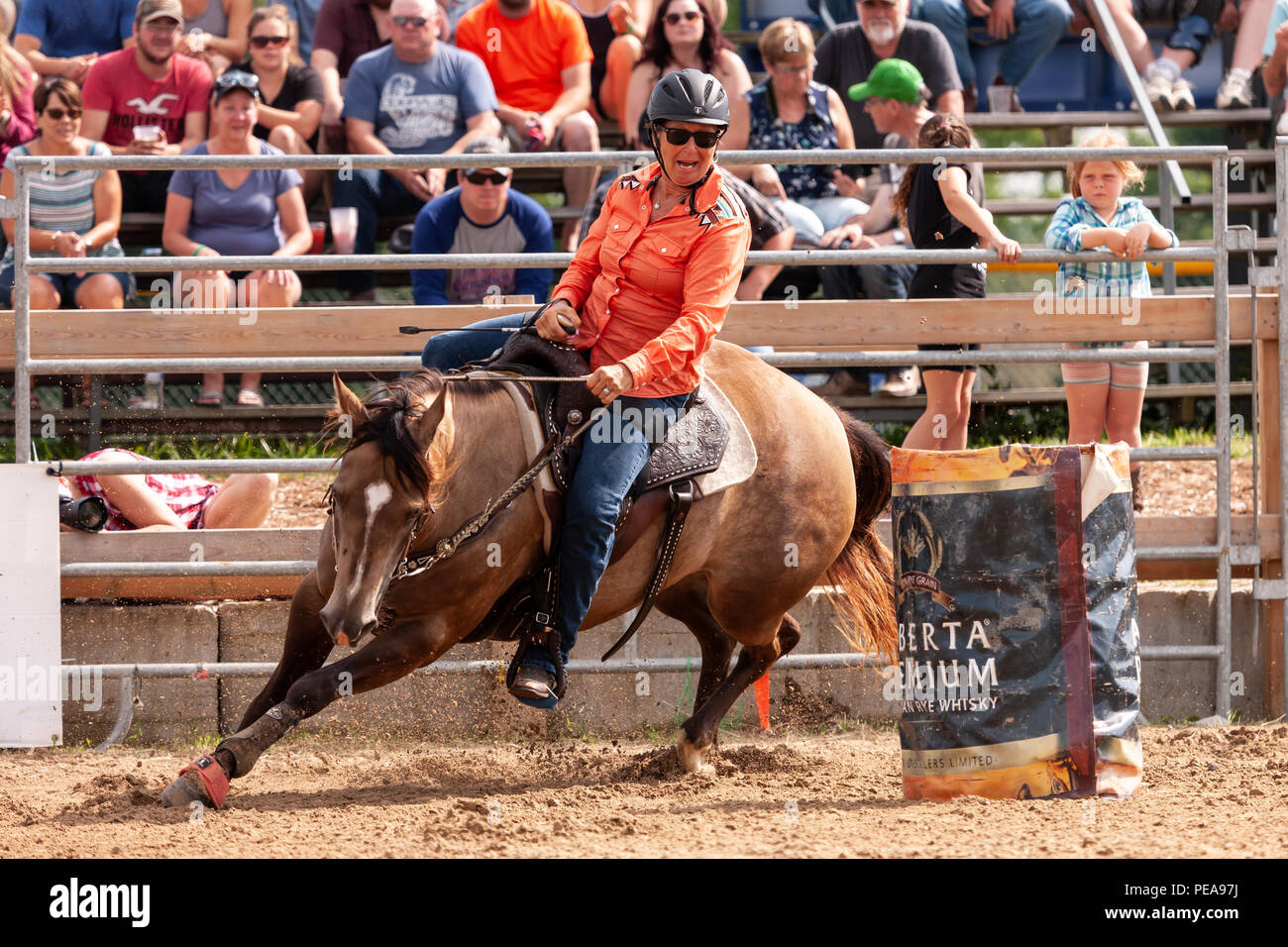 Cowgirls guide their quarterhorses through the barrell racing course ...