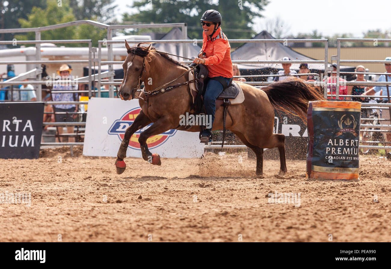 Ram racing team hi-res stock photography and images - Alamy