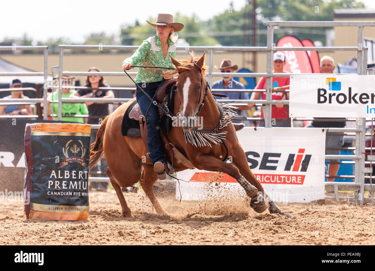 Cowgirls guide their quarterhorses through the barrell racing course ...