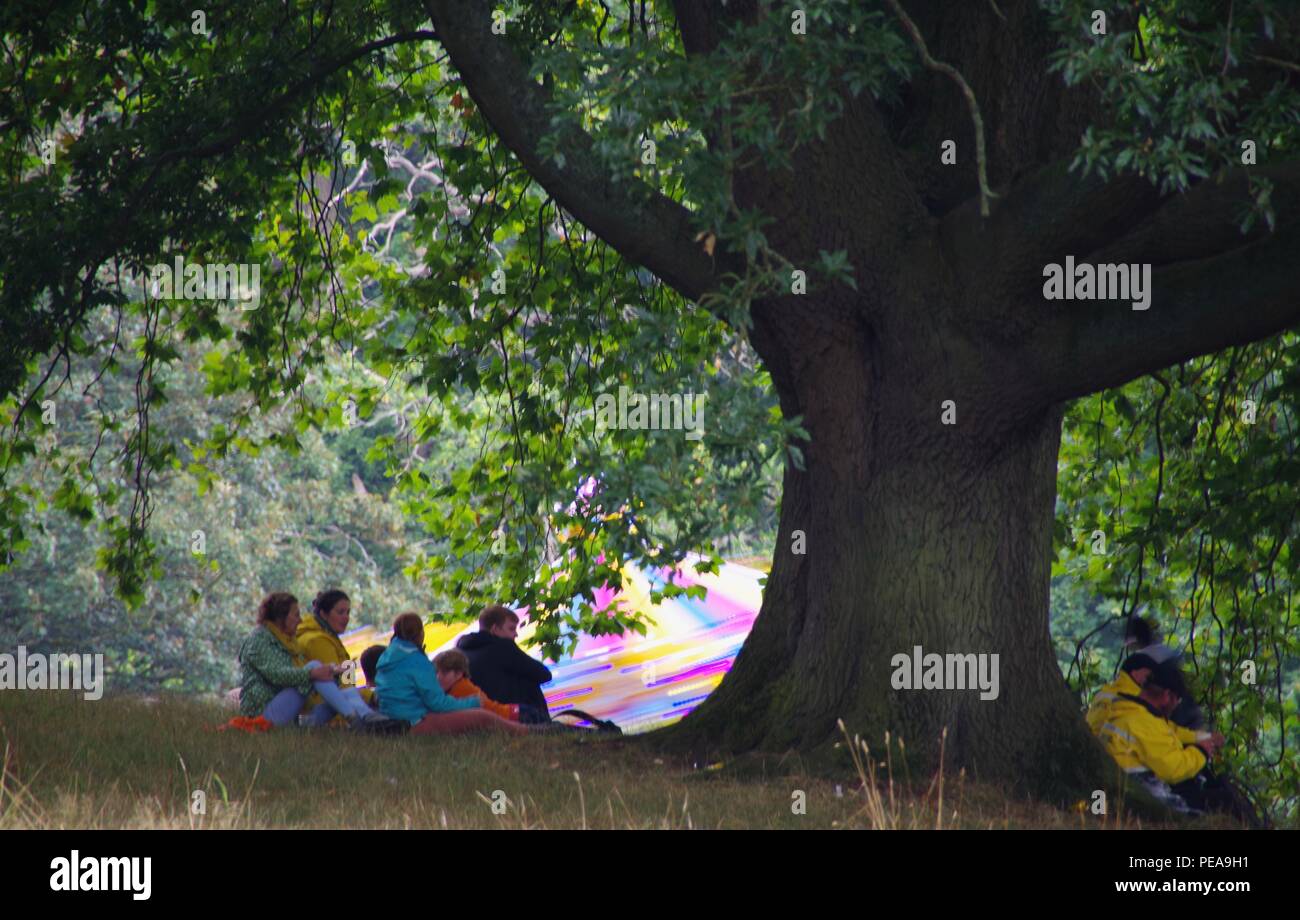 Young Family Sheltering from Summer Rain under a Mighty English Oak ...