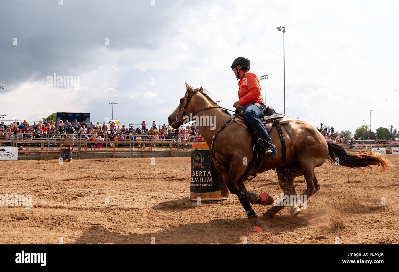 Cowgirls guide their quarterhorses through the barrell racing course ...
