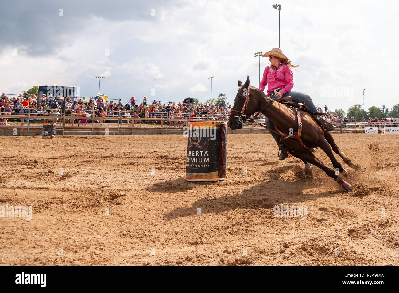 Cowgirls guide their quarterhorses through the barrell racing course ...