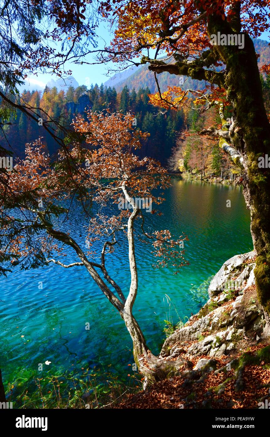 Slovenian border hi-res stock photography and images - Alamy