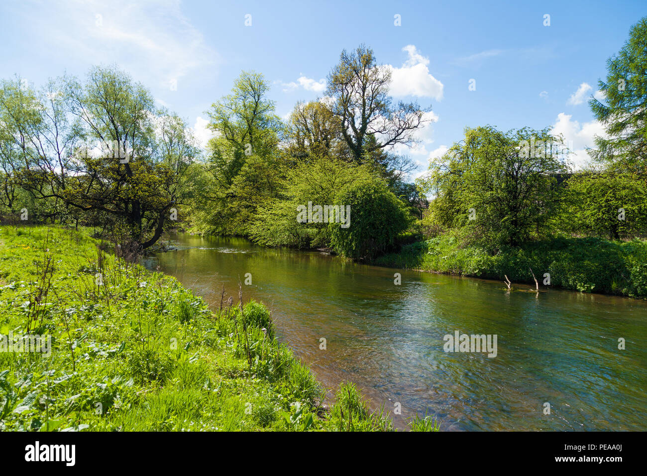 Alloa scotland hi-res stock photography and images - Alamy