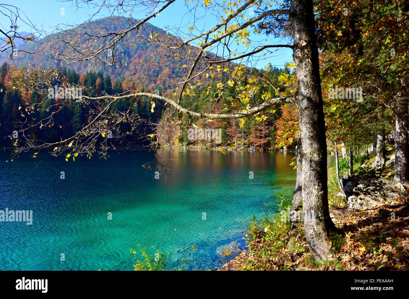 Italy slovenia austria hi-res stock photography and images - Alamy