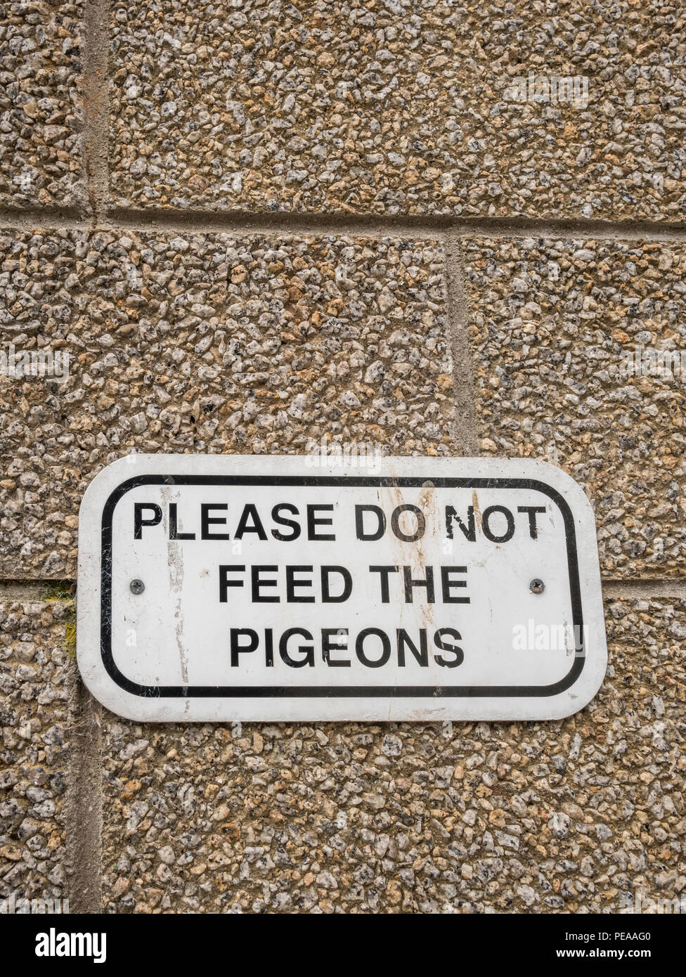 Sign warning the public not to feed pigeons (in St. Austell, Cornwall ...