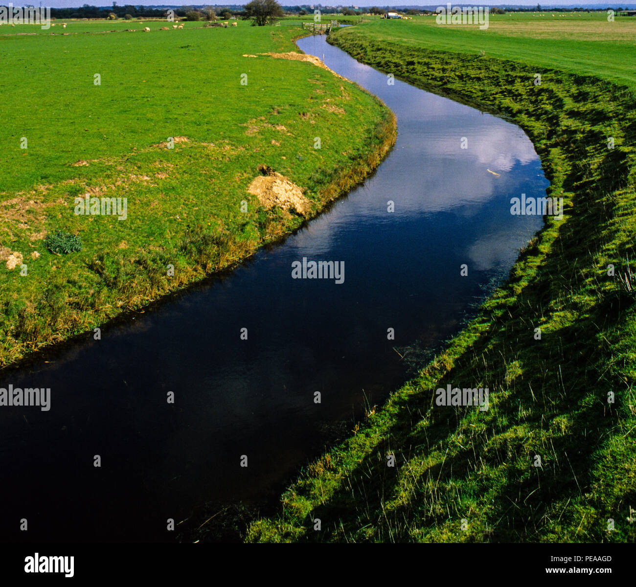 Romney Marsh, Under Threat of Development, Important Ancient Wetlands ...