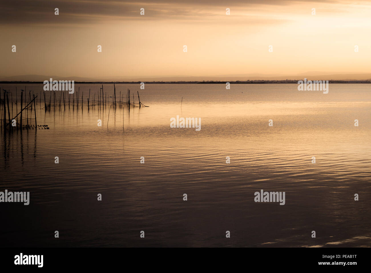 Valencia el saler hi-res stock photography and images - Alamy