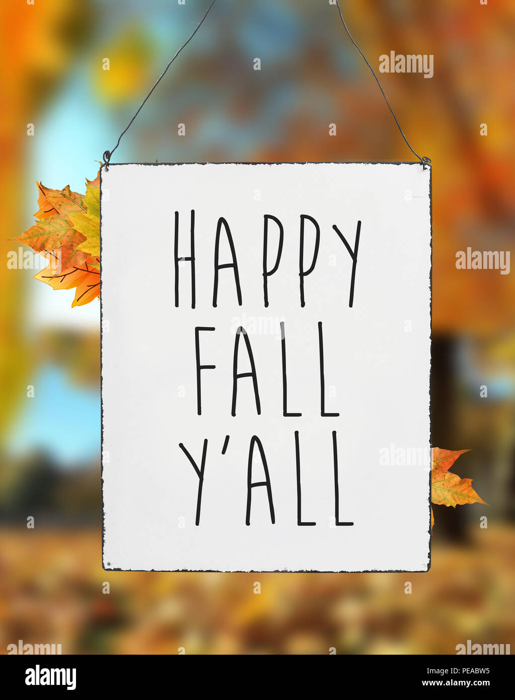 Happy Fall Yall Chevron