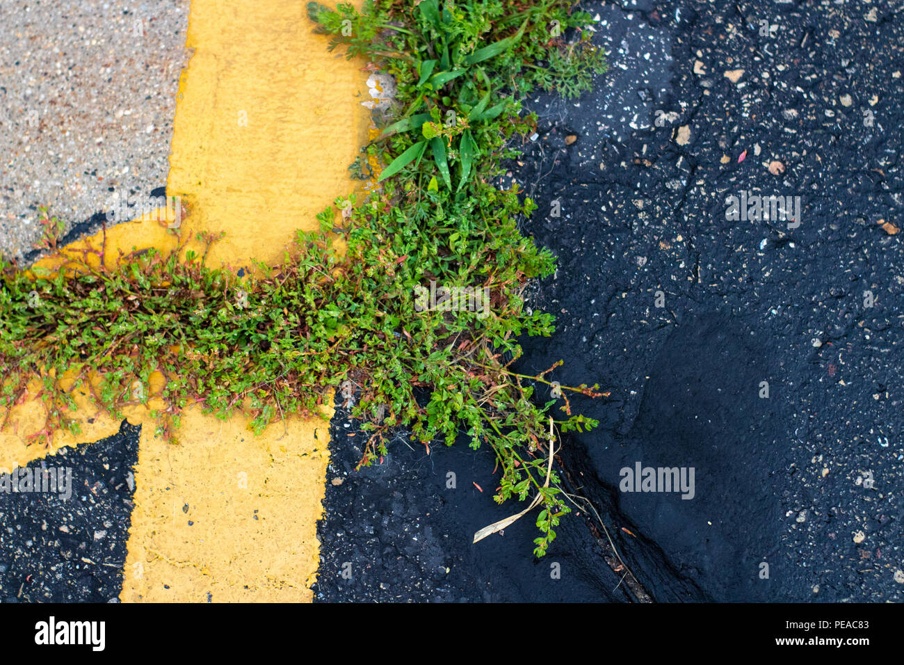Asphalt seam in concrete hi-res stock photography and images - Alamy