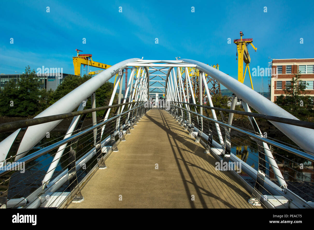 Sam Thompson Bridge Connswater Community Greenway Victoria Park Shorts ...