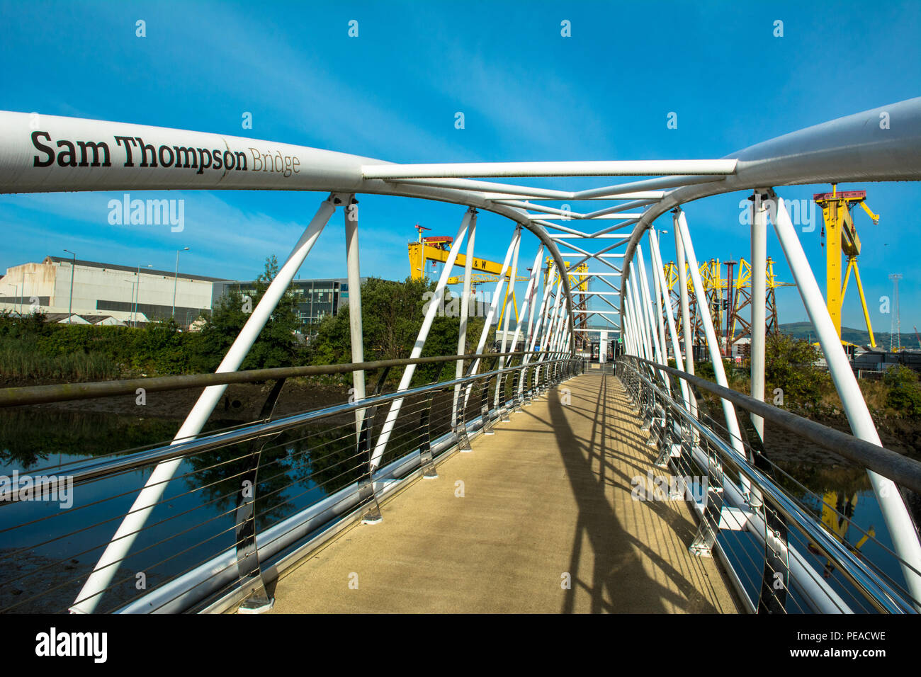 Sam Thompson Bridge Connswater Community Greenway Victoria Park Shorts ...