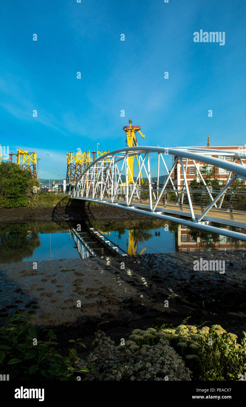 Sam Thompson Bridge Connswater Community Greenway Victoria Park Shorts ...