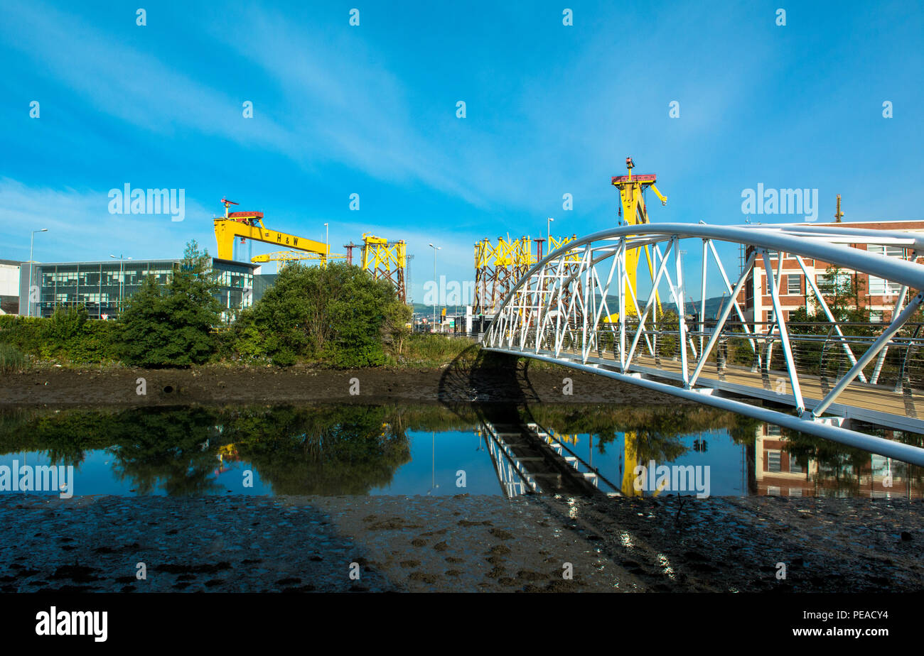 Sam Thompson Bridge Connswater Community Greenway Victoria Park Shorts ...