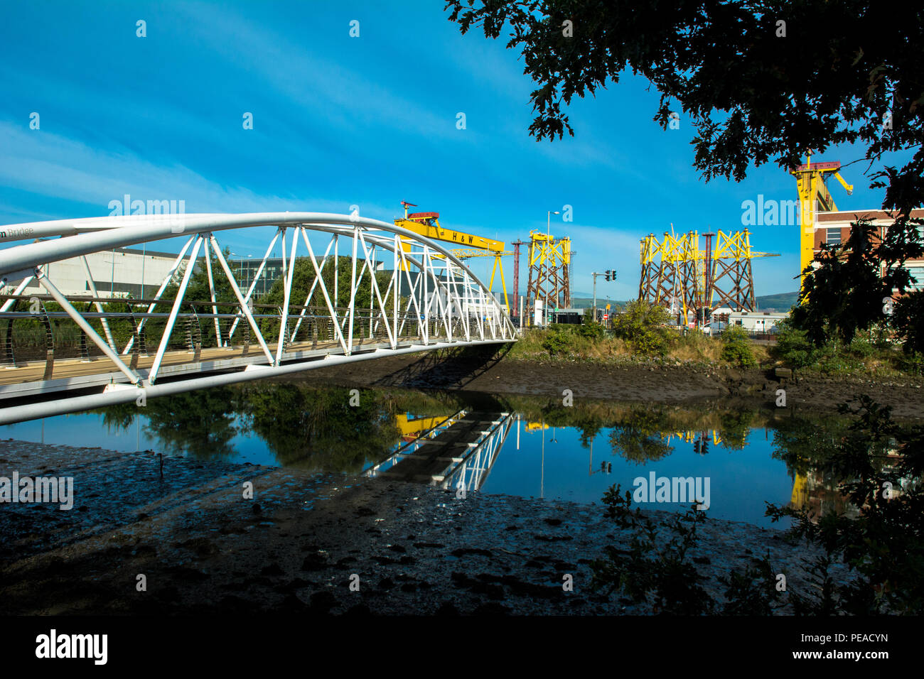 Sam Thompson Bridge Connswater Community Greenway Victoria Park Shorts ...