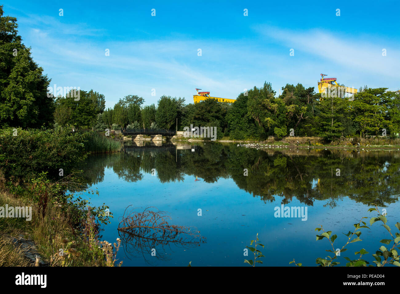 River connswater hi-res stock photography and images - Alamy