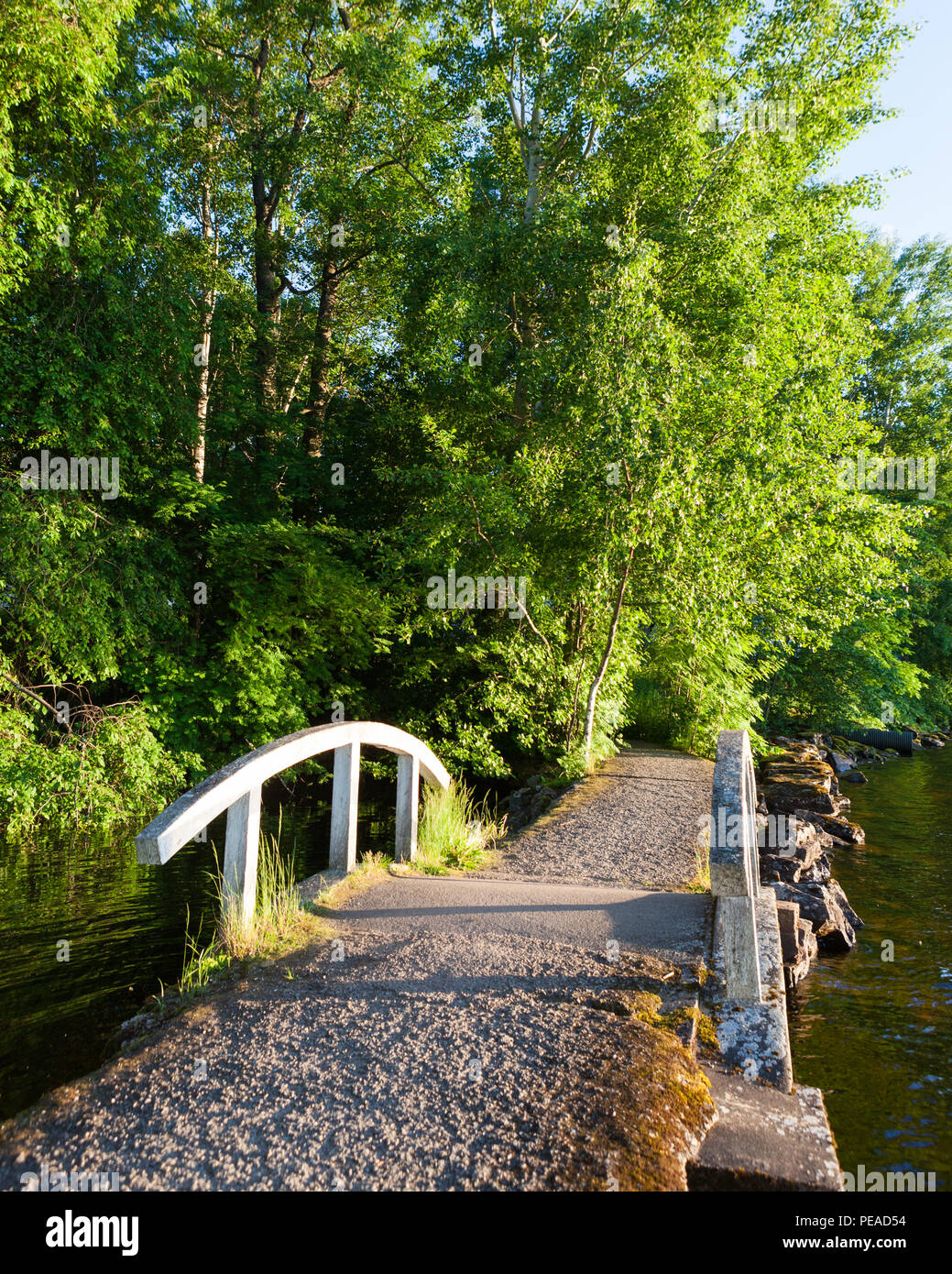 Lakeside landscape summer hi-res stock photography and images - Alamy