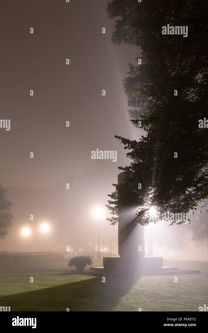 Empty park at foggy night Stock Photo - Alamy