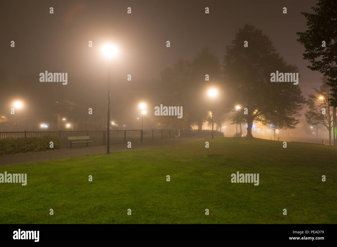 Empty park and streetlights at foggy night Stock Photo - Alamy