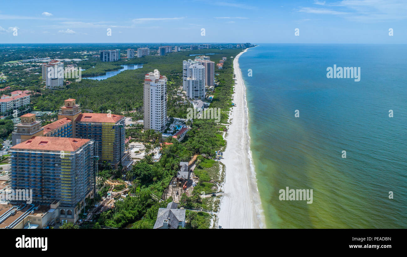 Red tide algae bloom in florida hi-res stock photography and images - Alamy