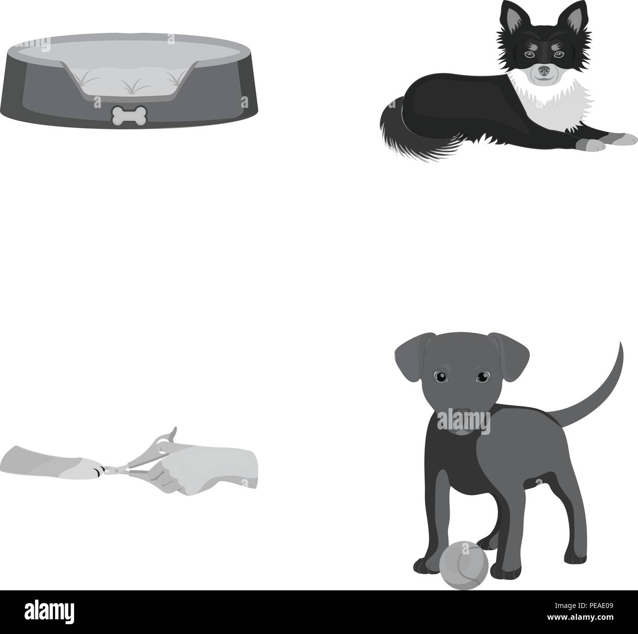 ball,care,circumcision,claws,clinic,collection,dog,education,favorite ...