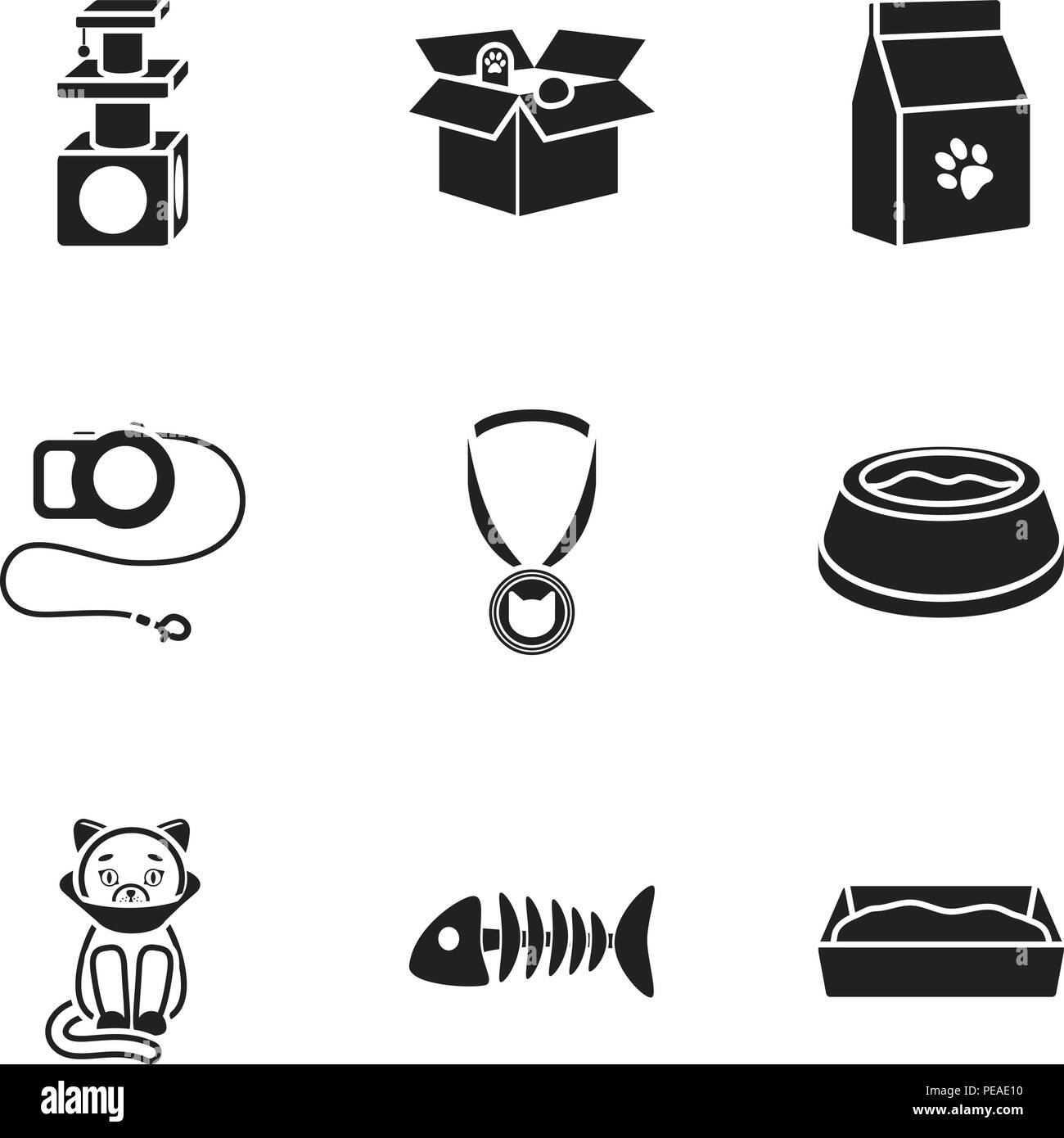 Cat equipment set icons in black style. Big collection of cat equipment ...