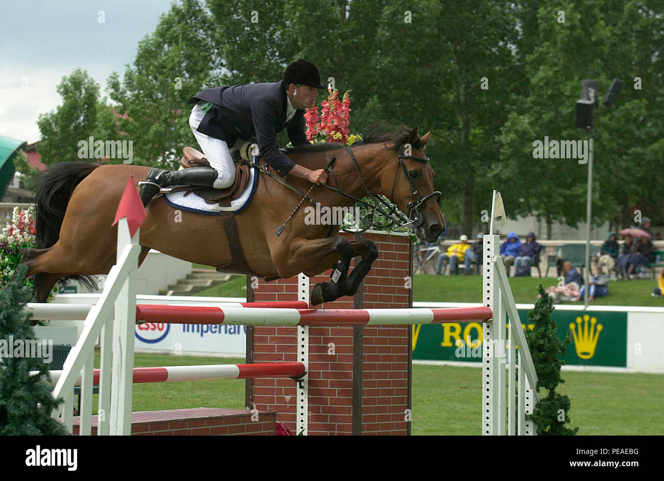 Miss Montana High Resolution Stock Photography and Images - Alamy