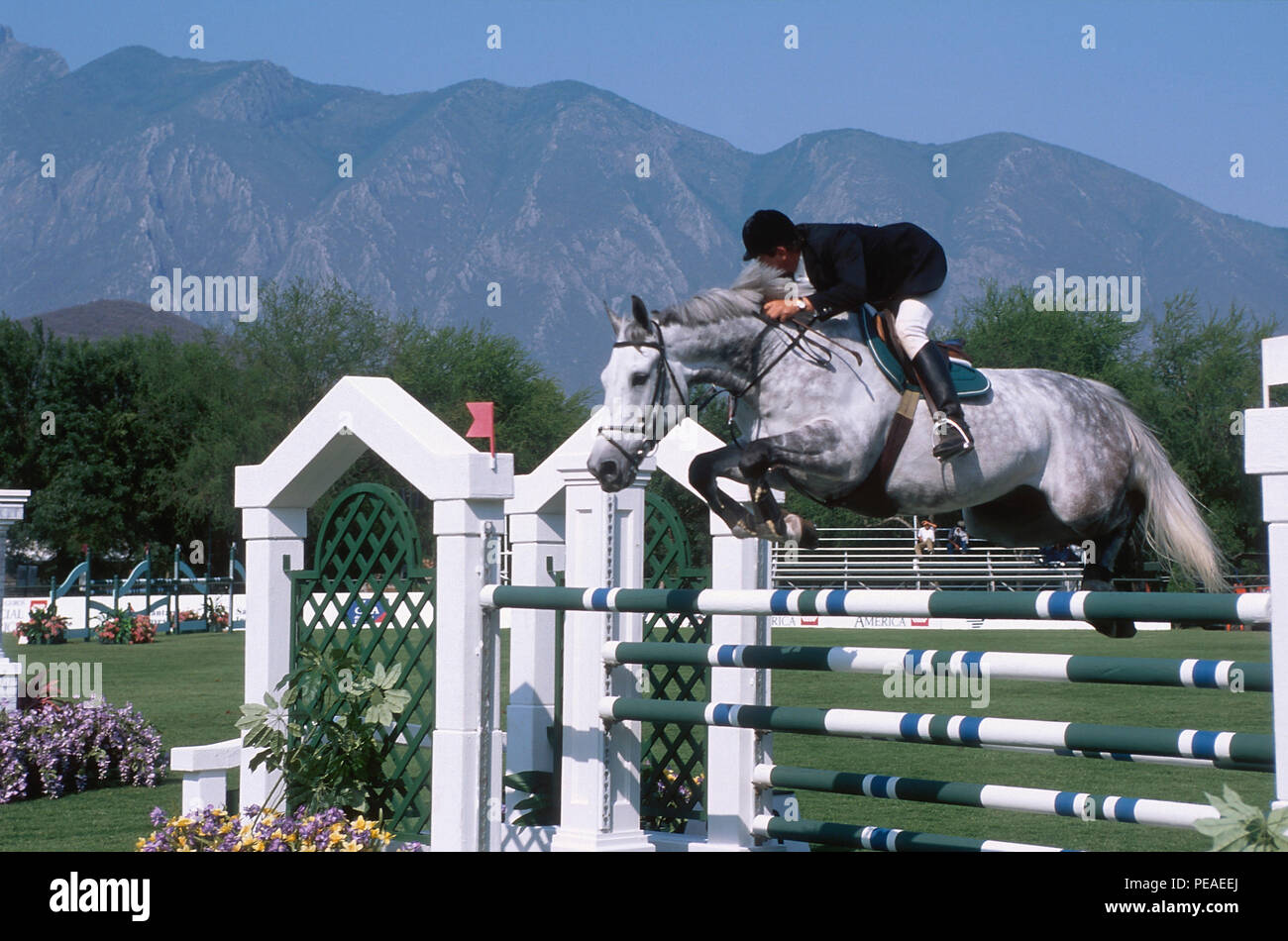 CSI Monterrey October 1998, Gerardo Tazzer (MEX) riding Liberty Stock ...