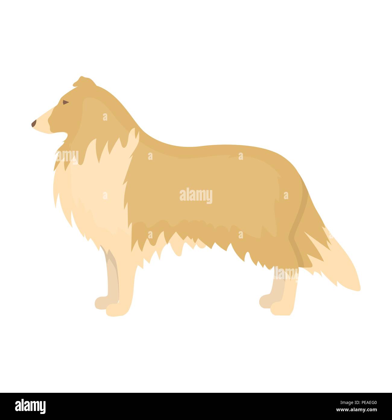 Collie vector illustration icon in cartoon design Stock Vector Image ...