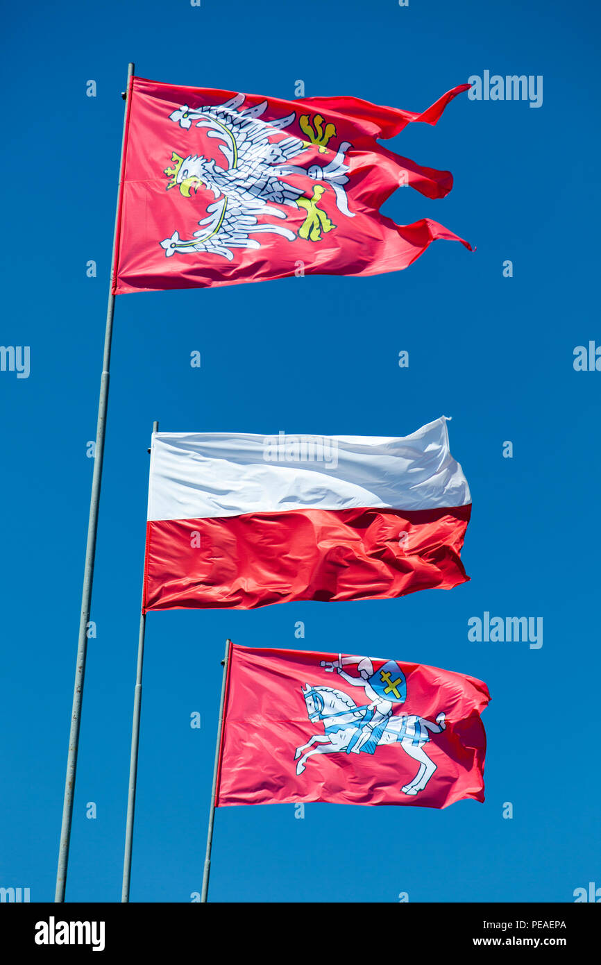 The red white flag of Poland with an eagle and knight flags, historic ...