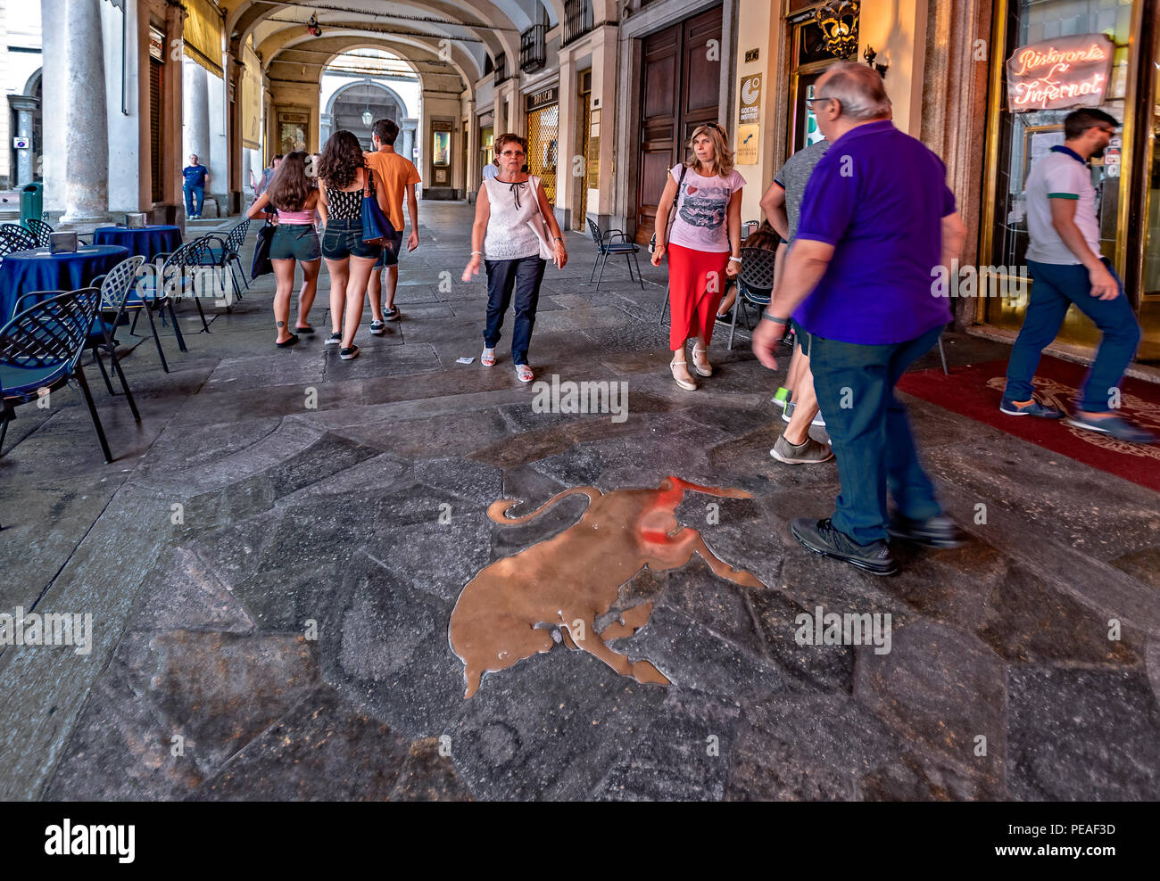 Italy Piedmont Turin VPiazza San Carlo Bull.bull, one of the lucky ...