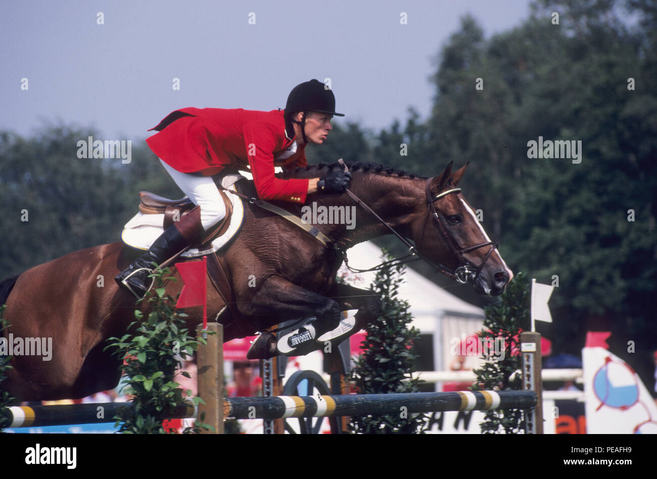 CSI Valkenswaard, August 1997, Pulsar Crown, Thomas Velin (DEN) riding ...