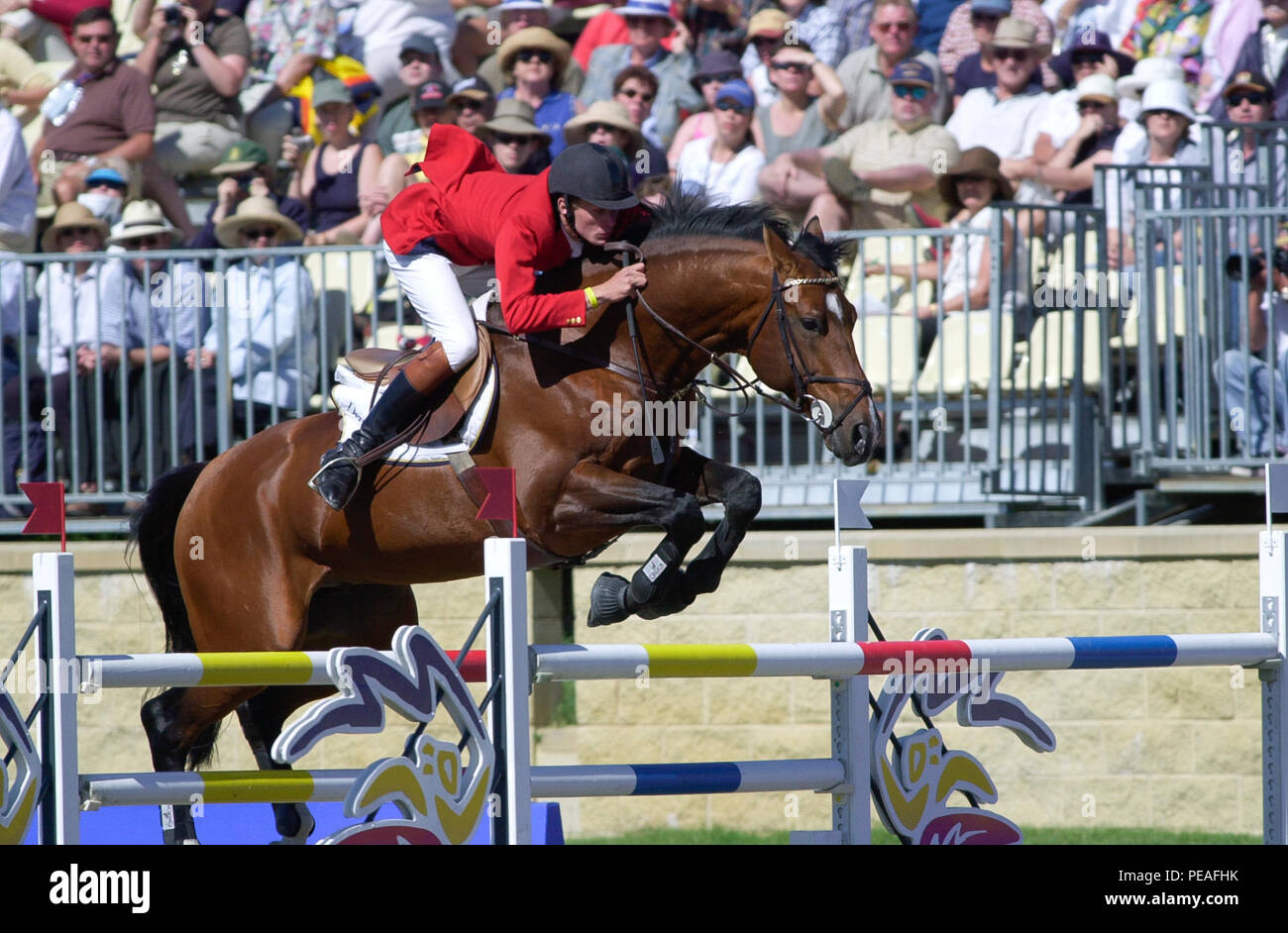 Olympic Games, Sydney 2000, Thomas Velin (DEN) riding Carnute Stock ...