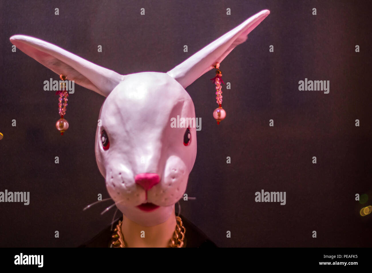 Rabbit head mannequin with earings Stock Photo - Alamy